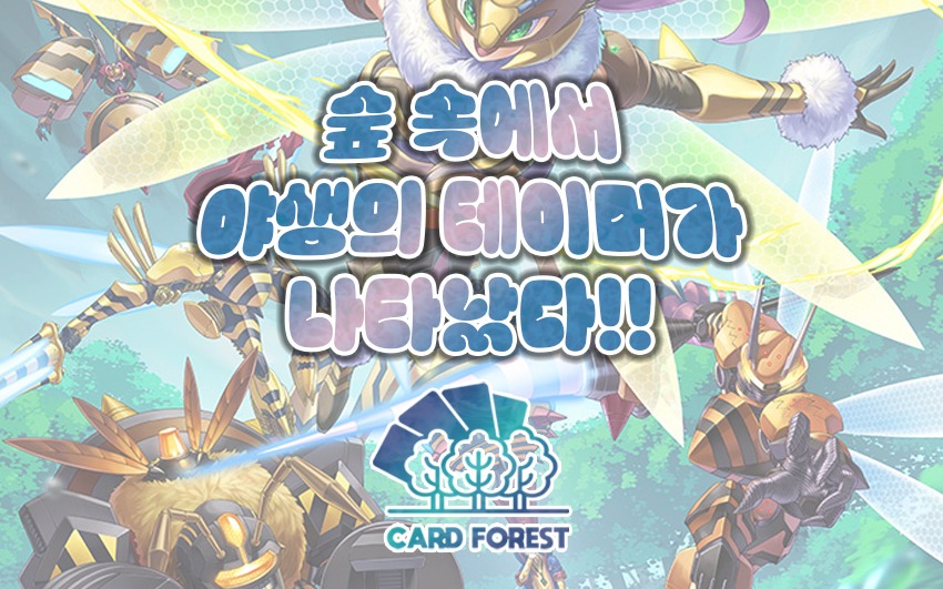 일본 숲 속에서 야생의 테이머가 나타났다!! 3on3대회 - Tonamel