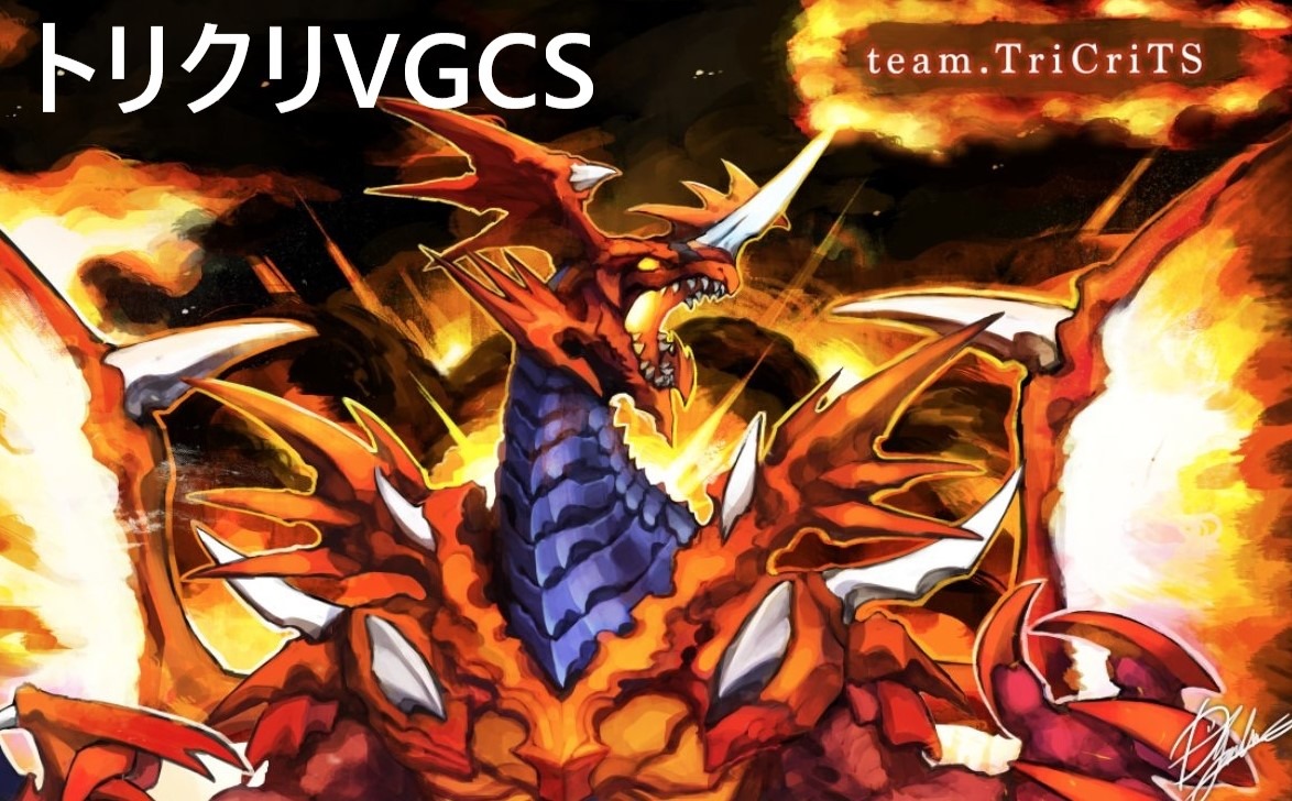 第14回トリクリVGCS - Tonamel