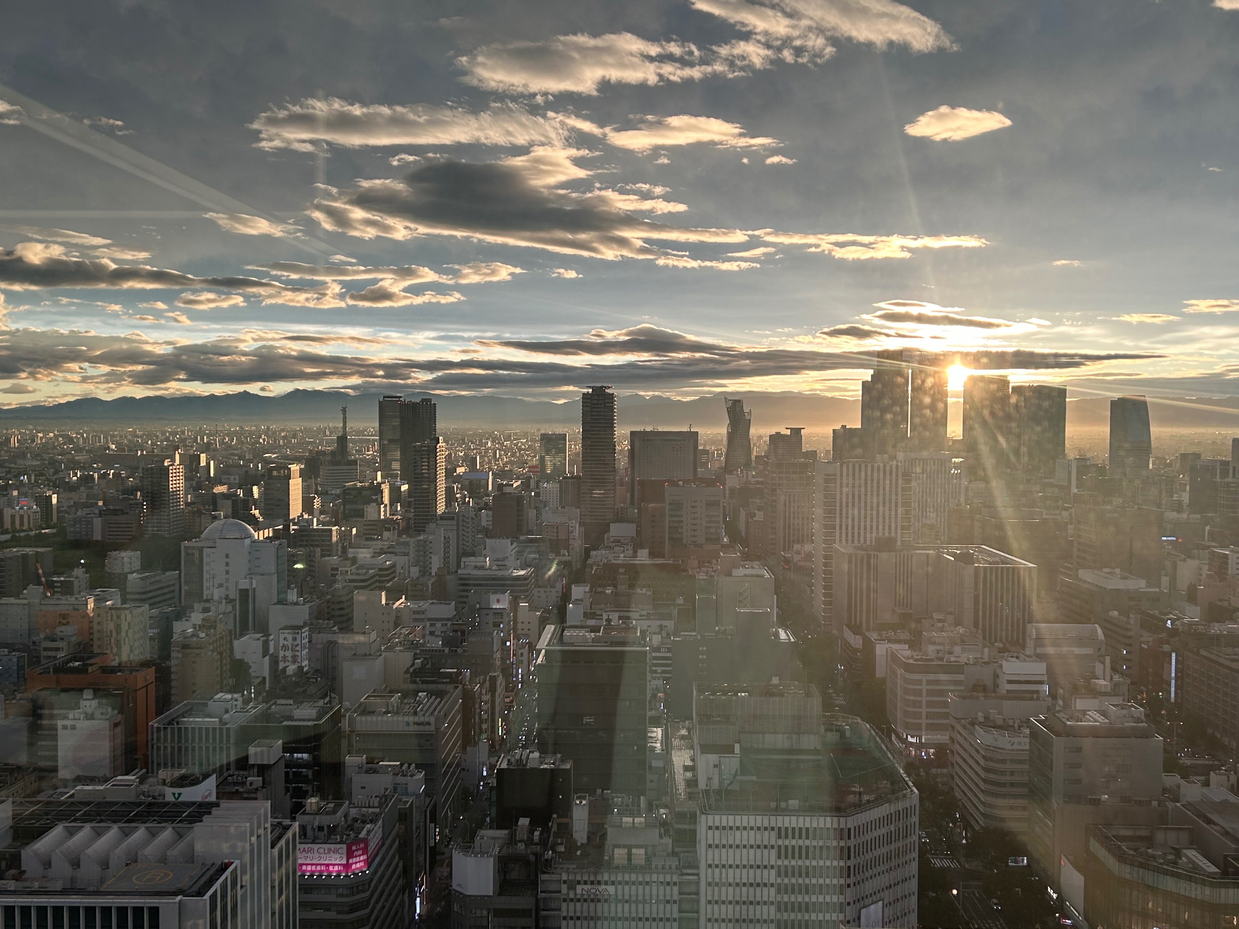 30代ポケカの会 - Tonamel