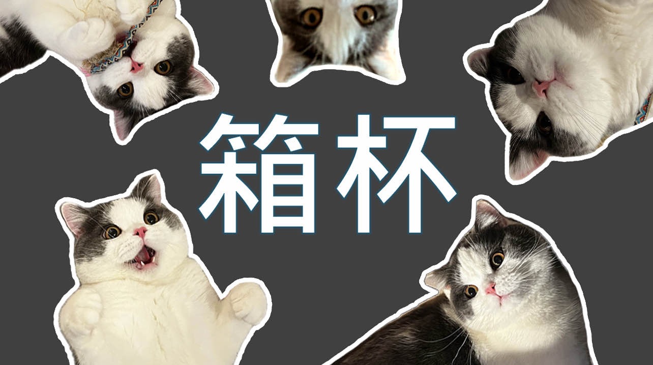 箱杯 アイドル版 - Tonamel