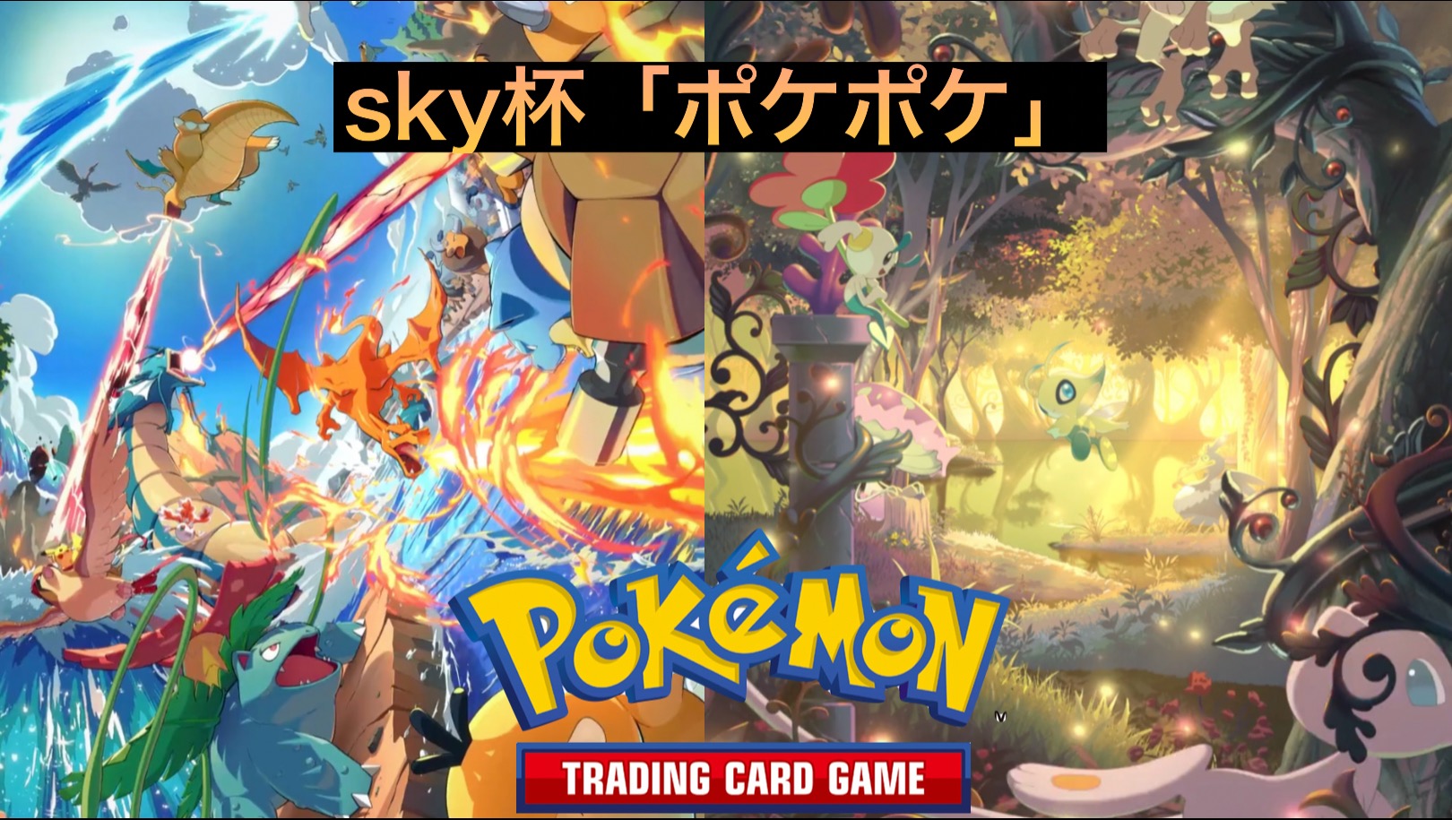 ポケポケ大会-sky杯-#8 - Tonamel
