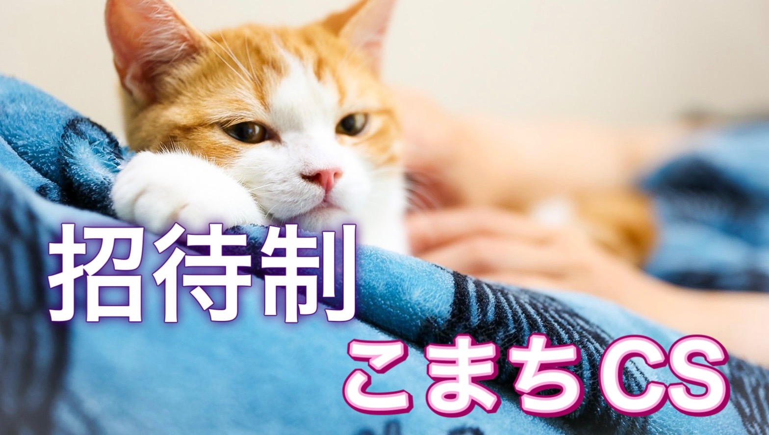 第12回こまちCS個人戦(招待制) - Tonamel