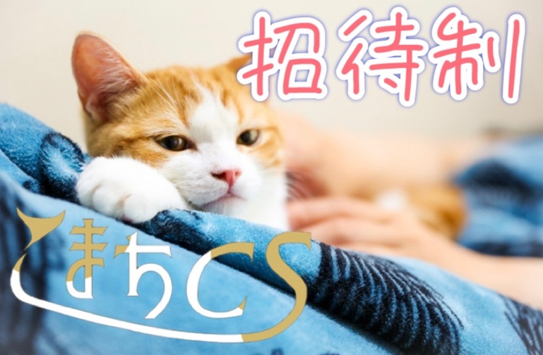 第32回こまちCS個人戦(招待制) - Tonamel