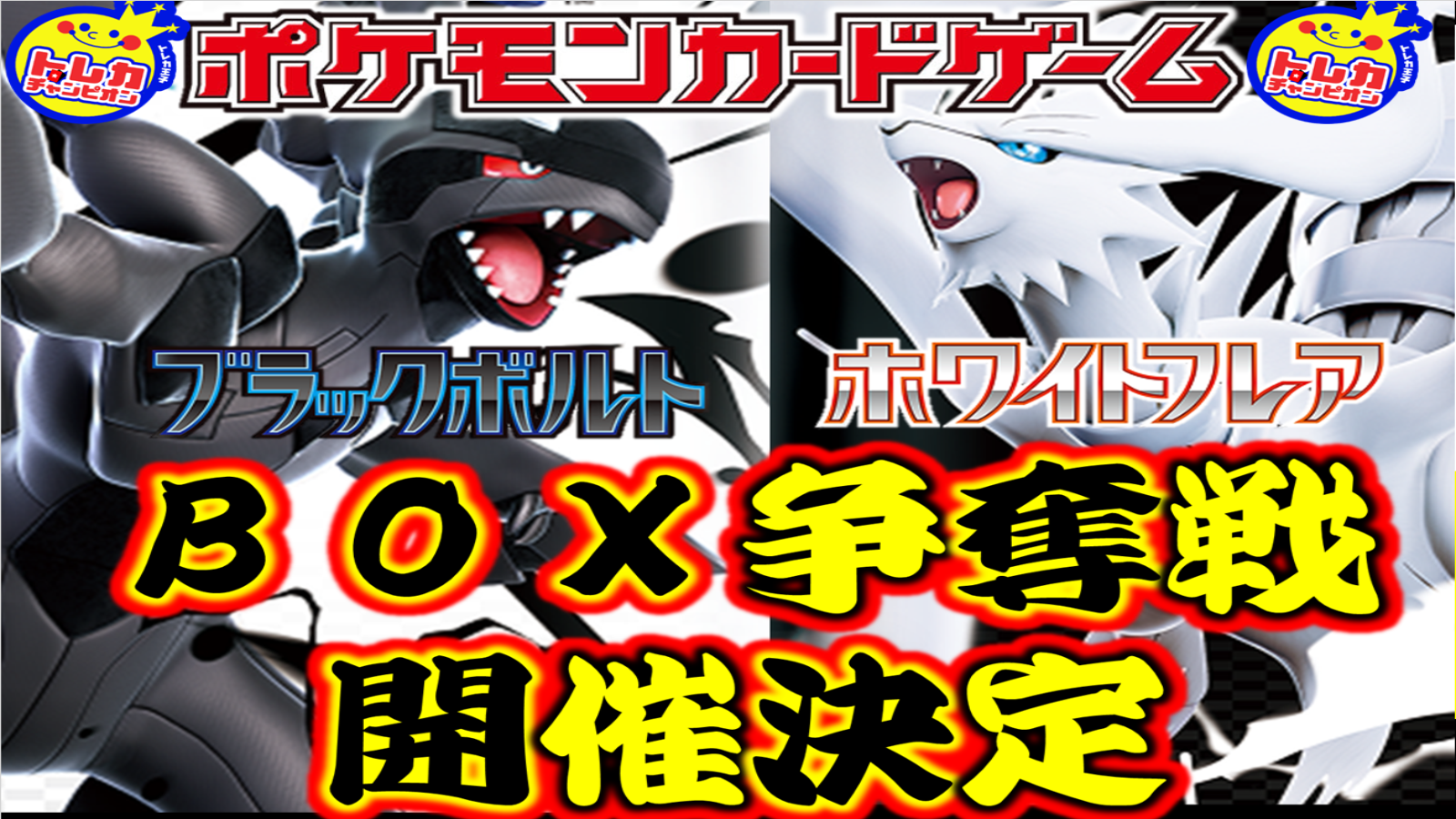 ビデ尼 新弾BOX争奪戦 - Tonamel