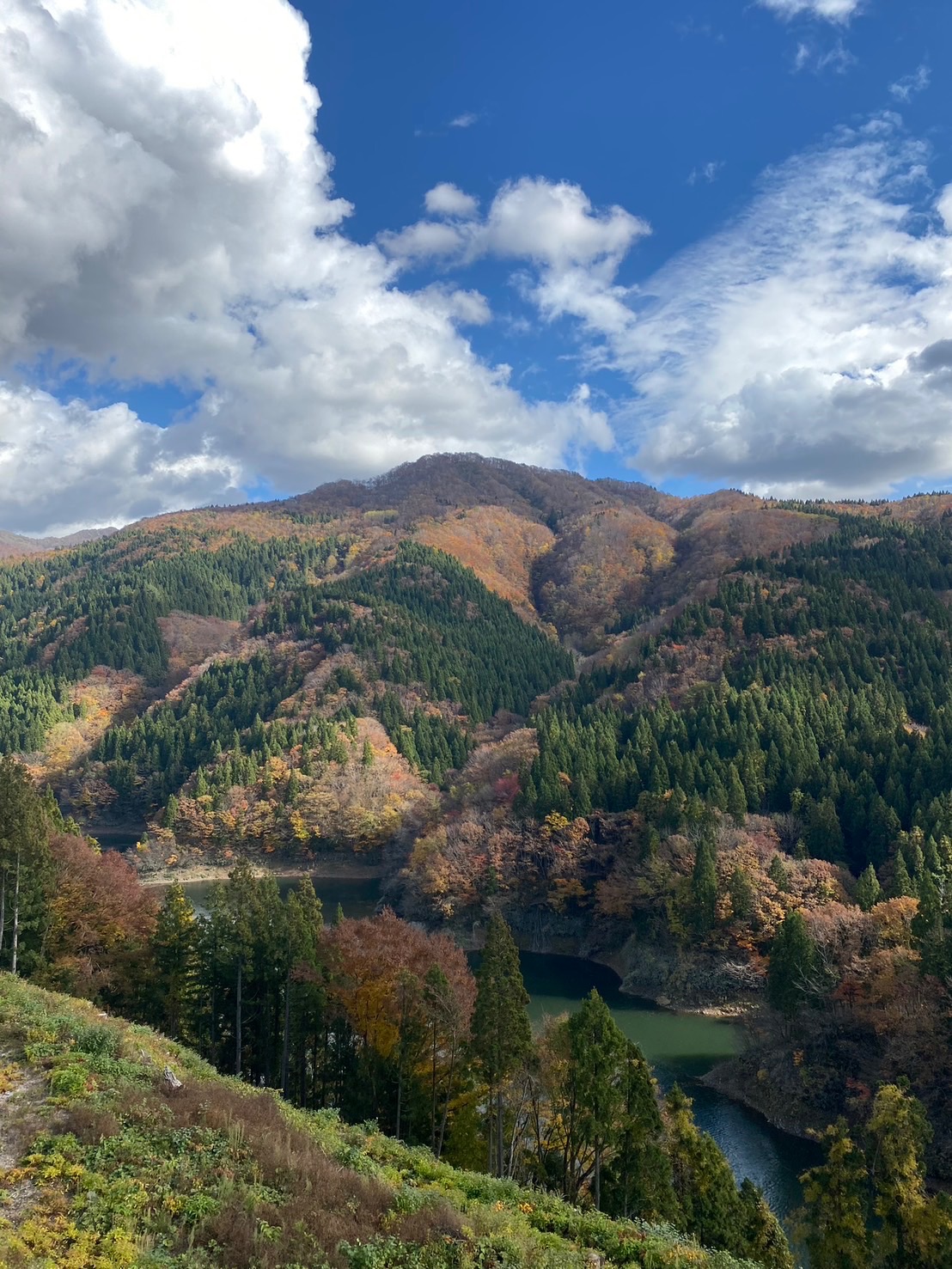 第1回のしろ白神杯 - Tonamel