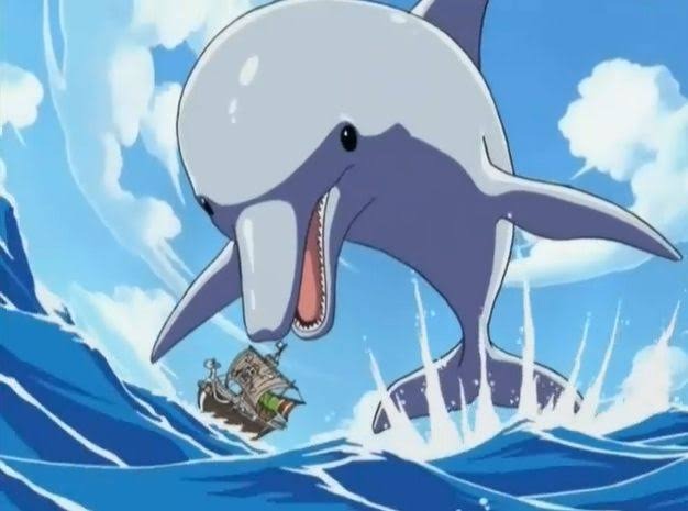 いるかcsミニ2025 - Tonamel