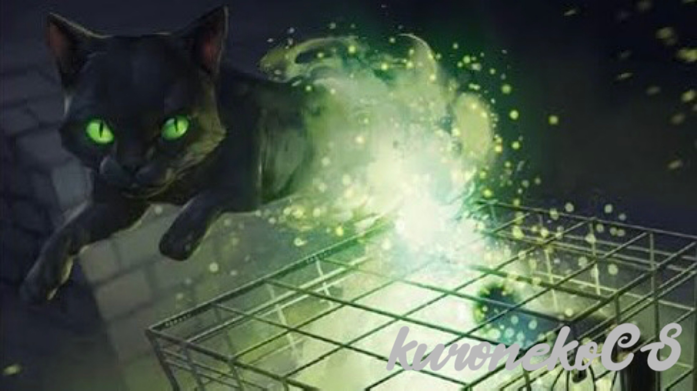 第6回 黒猫CS - Tonamel