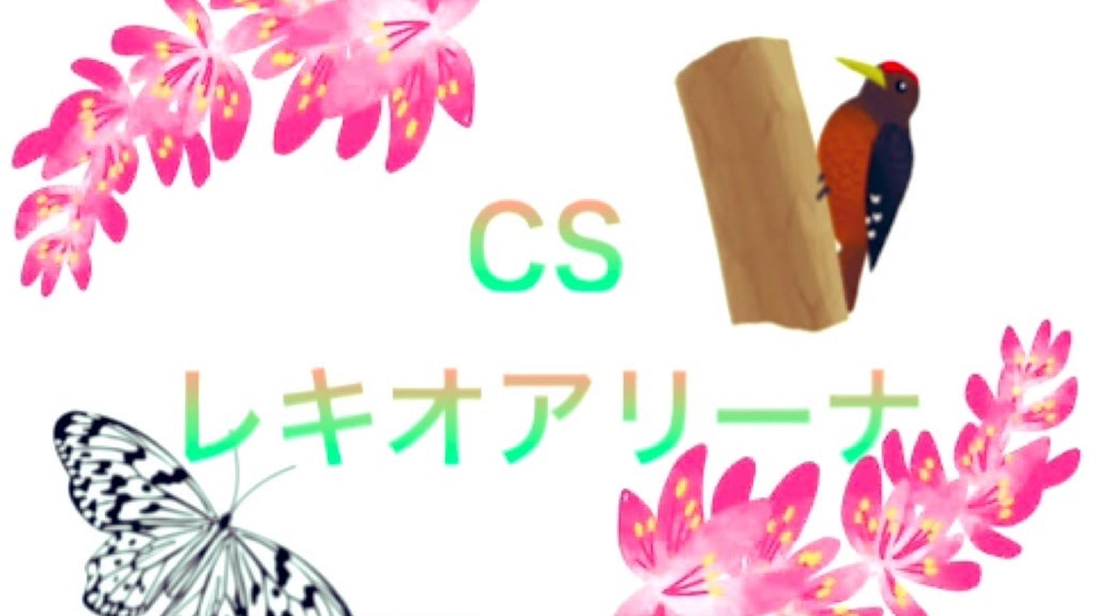 第7回CS-レキオアリーナ - Tonamel