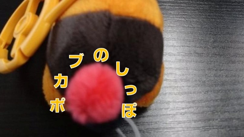 ポカブのしっぽ9月15日 - Tonamel