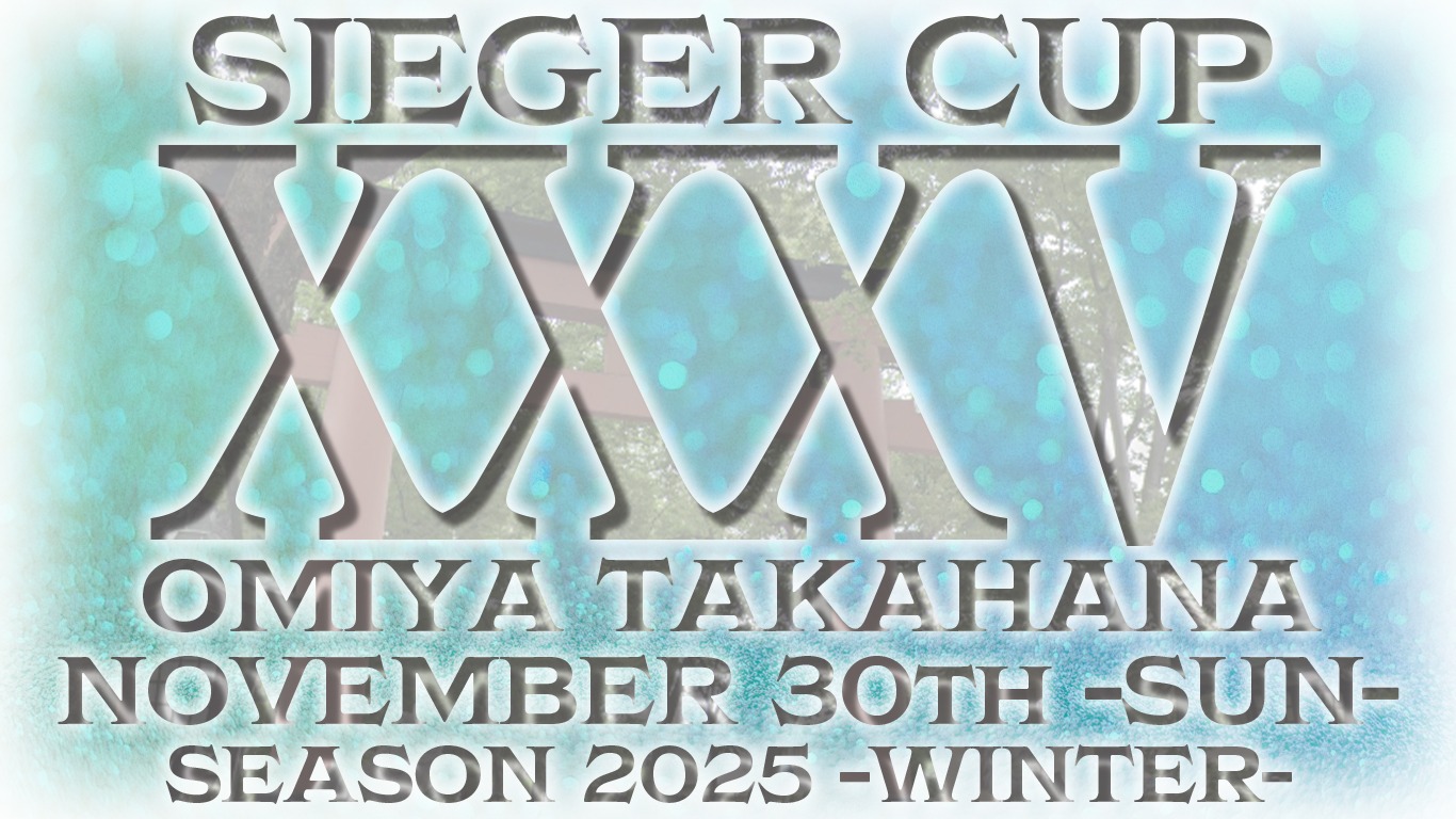 ズィーガー杯XXXV＠大宮 - Tonamel