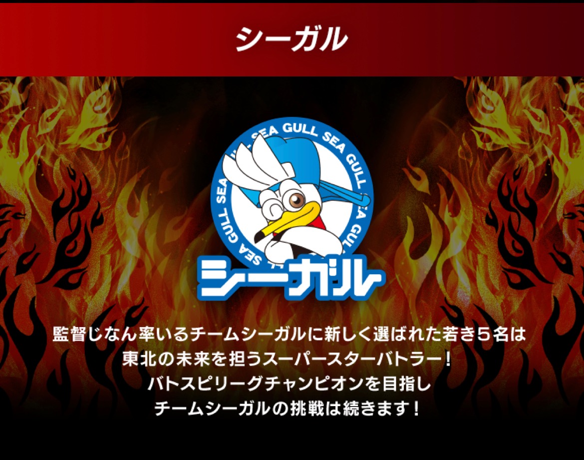 チームシーガル記念あしもかCS - Tonamel