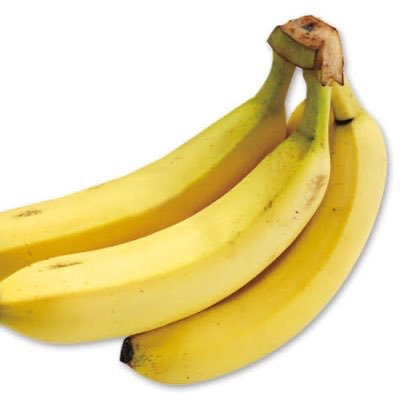 第12回バナナVGCS - Tonamel