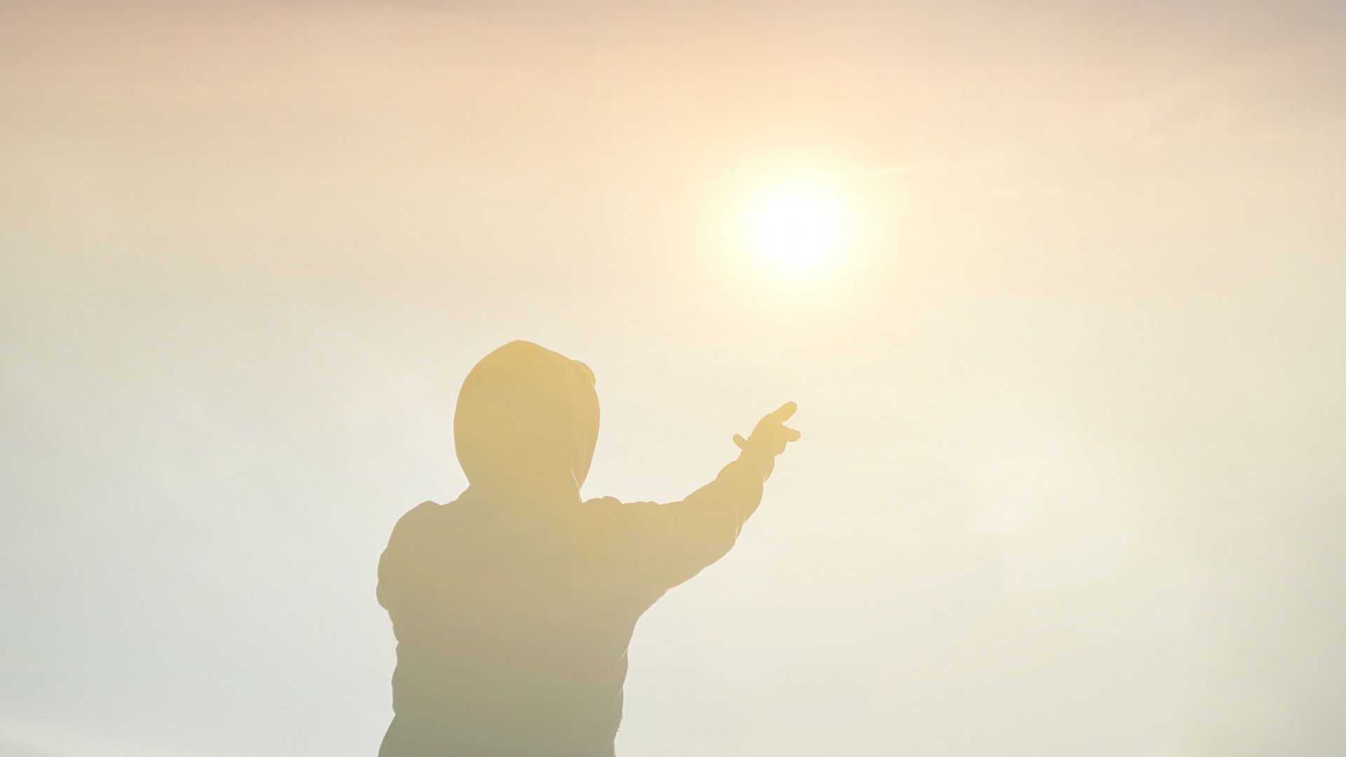 ブライトカップ ⑥ - Tonamel