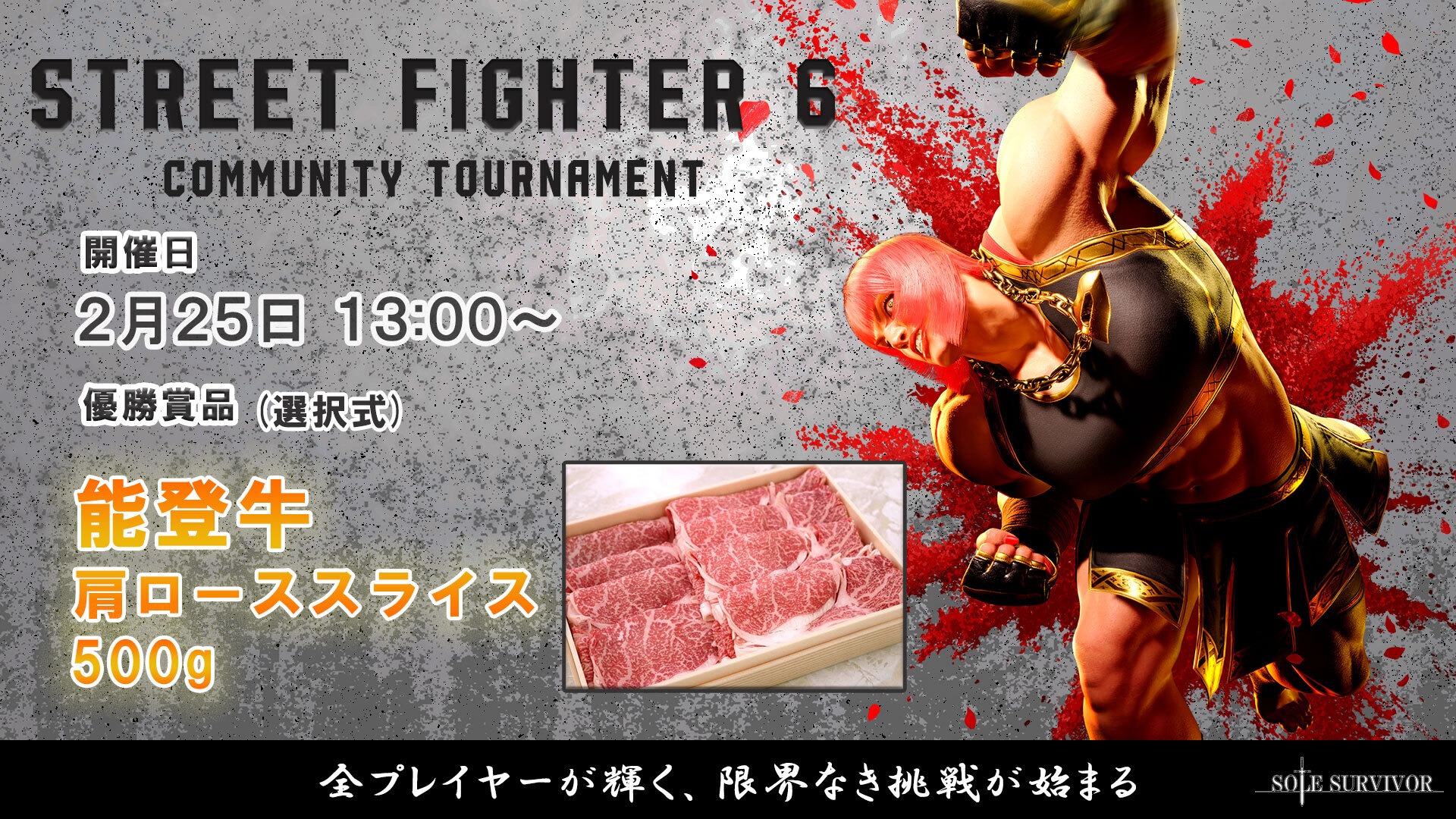 SOLE SURVIVOR-SF6-Vol.6 - Tonamel