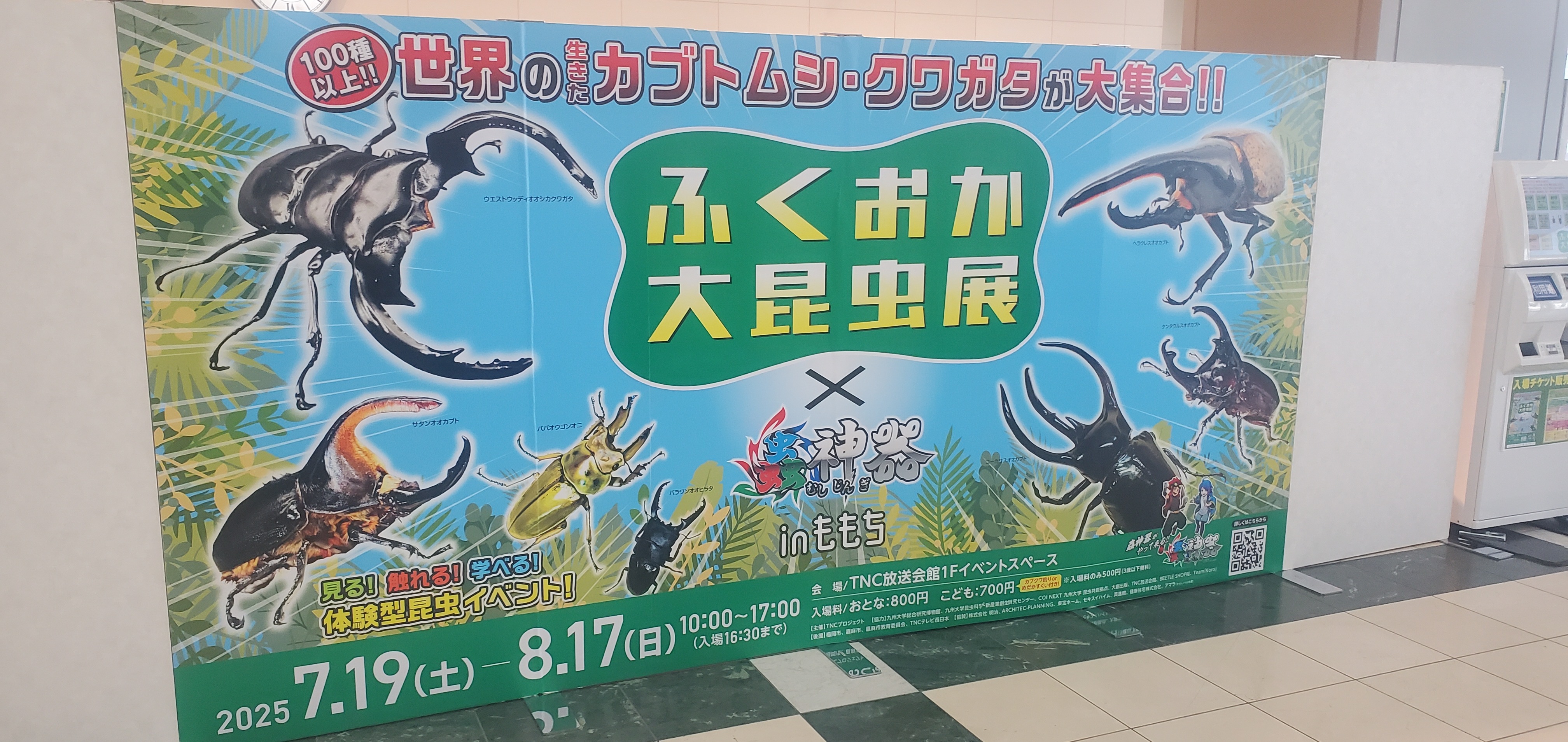 ふくおか大昆虫展×蟲神器 「大阪の強い蟲主がやってくるぞ杯」 - Tonamel