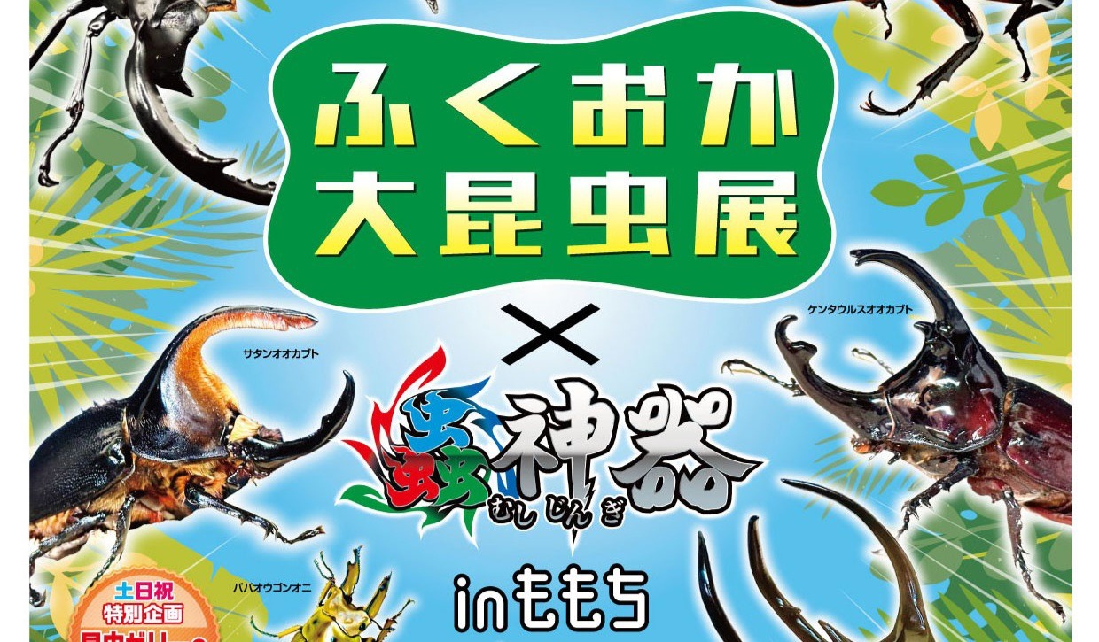ふくおか大昆虫展 蟲神器CHAMPIONSHIP【定員64名】 - Tonamel